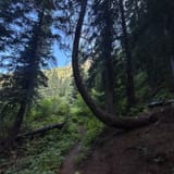 Mount Hosmer Trail, British Columbia, Canada - 78 Reviews, Map | AllTrails