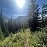 Mount Hosmer Trail, British Columbia, Canada - 78 Reviews, Map | AllTrails