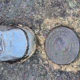 Mount Arab Trail, New York - 2,494 Reviews, Map | AllTrails