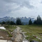 Skyline Loop, Washington - 17,308 Reviews, Map | AllTrails