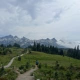 Skyline Loop, Washington - 17,308 Reviews, Map | AllTrails