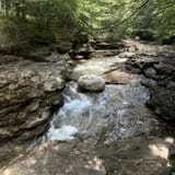 Old Loggers Path, Pennsylvania - 683 Reviews, Map | AllTrails