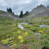 Skyline Loop, Washington - 17,308 Reviews, Map | AllTrails