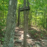 Bear's Den Park Trail, Virginia - 2,870 Reviews, Map | AllTrails