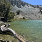 Emma Lake Trail, California - 158 Reviews, Map | AllTrails