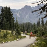 Skyline Loop, Washington - 17,308 Reviews, Map | AllTrails