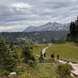 Skyline Loop, Washington - 17,308 Reviews, Map | AllTrails