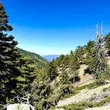 Timber Mountain, California - 1,629 Reviews, Map | AllTrails