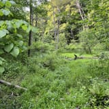 Aman Park Loop, Michigan - 1,563 Reviews, Map | AllTrails