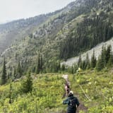 Flora Peak, British Columbia, Canada - 656 Reviews, Map | AllTrails