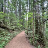 Silver Falls Loop, Washington - 3,966 Reviews, Map | AllTrails