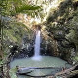 The Cream Track, Queensland, Australia - 189 Reviews, Map | AllTrails