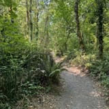 Tryon Creek Triple Bridge Loop, Oregon - 1,757 Reviews, Map | AllTrails