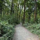 Tryon Creek Triple Bridge Loop, Oregon - 1,757 Reviews, Map | AllTrails