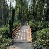 Tryon Creek Triple Bridge Loop, Oregon - 1,757 Reviews, Map | AllTrails