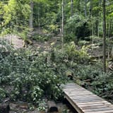 Salt Run, Ohio - 1,515 Reviews, Map | AllTrails