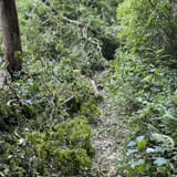 Salt Run, Ohio - 1,515 Reviews, Map | AllTrails