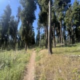 Eagle Loop, Idaho - 105 Reviews, Map | AllTrails