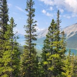 Little Lougheed, Alberta, Canada - 2,170 Reviews, Map | AllTrails
