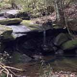 Lane Cove Riverside Walk, New South Wales, Australia - 1,728 Reviews ...