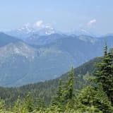 Johnson Ridge Trail, Washington - 291 Reviews, Map | AllTrails