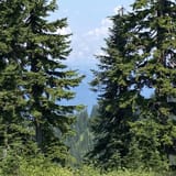 Johnson Ridge Trail, Washington - 291 Reviews, Map | AllTrails
