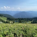 Johnson Ridge Trail, Washington - 291 Reviews, Map | AllTrails