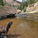 Cheesman Canyon, Colorado - 2,606 Reviews, Map | AllTrails