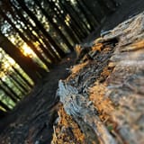 Mount Watatic, Massachusetts - 1,656 Reviews, Map | AllTrails