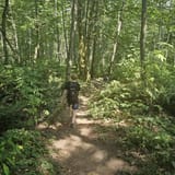 Dash Point Trail, Washington - 1,354 Reviews, Map | AllTrails