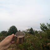 Bukit Penarikan, Negeri Sembilan, Malaysia - 467 Reviews, Map | AllTrails