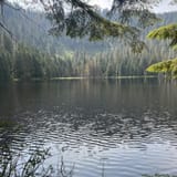 Pinnacle Lake Trail, Washington - 344 Reviews, Map | AllTrails