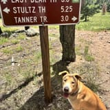 Stultz Trail, Colorado - 121 Reviews, Map | AllTrails