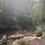 Daniel Ridge Loop, North Carolina - 2,143 Reviews, Map | AllTrails