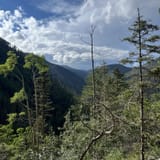 Lost Lake Trail, New Mexico - 287 Reviews, Map | AllTrails