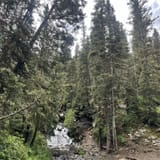 Lost Lake Trail, New Mexico - 287 Reviews, Map | AllTrails