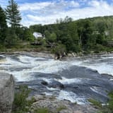 Ferncliff Trail, Pennsylvania - 1,599 Reviews, Map | AllTrails