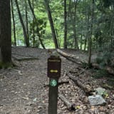 Ferncliff Trail, Pennsylvania - 1,599 Reviews, Map | AllTrails