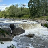 Ferncliff Trail, Pennsylvania - 1,599 Reviews, Map | AllTrails