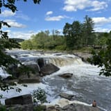 Ferncliff Trail, Pennsylvania - 1,599 Reviews, Map | AllTrails