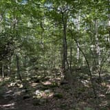 Ferncliff Trail, Pennsylvania - 1,599 Reviews, Map | AllTrails