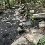 Ferncliff Trail, Pennsylvania - 1,599 Reviews, Map | AllTrails