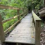 Ferncliff Trail, Pennsylvania - 1,599 Reviews, Map | AllTrails