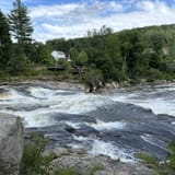 Ferncliff Trail, Pennsylvania - 1,599 Reviews, Map | AllTrails