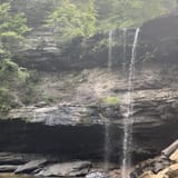 Greeter Falls Loop, Tennessee - 1,512 Reviews, Map | AllTrails