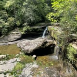 Greeter Falls Loop, Tennessee - 1,501 Reviews, Map | AllTrails