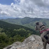 Sam Knob Trail, North Carolina - 1,538 Reviews, Map | AllTrails