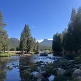 Soda Springs and Parsons Lodge Trail, California - 686 Reviews, Map ...