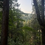 Hedge Creek Falls, California - 1,455 Reviews, Map | AllTrails
