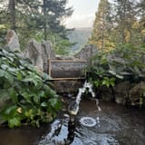 Hedge Creek Falls, California - 1,455 Reviews, Map | AllTrails